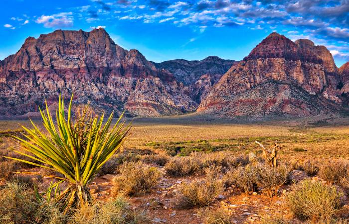 Top 25 Things Las Vegas is Known For and Famous For | Lyfepyle