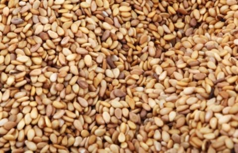 Origin of the Phrase "Open Sesame" (Open Says Me) - The Full Story ...