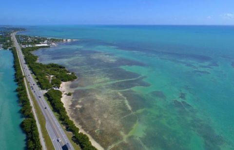 Top 15 Things Florida is Known For & Famous For | Lyfepyle