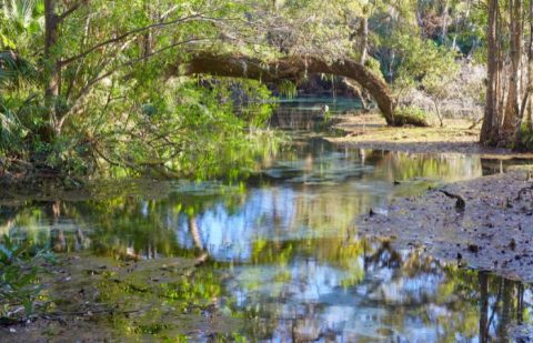 Top 15 Things Florida is Known For & Famous For | Lyfepyle