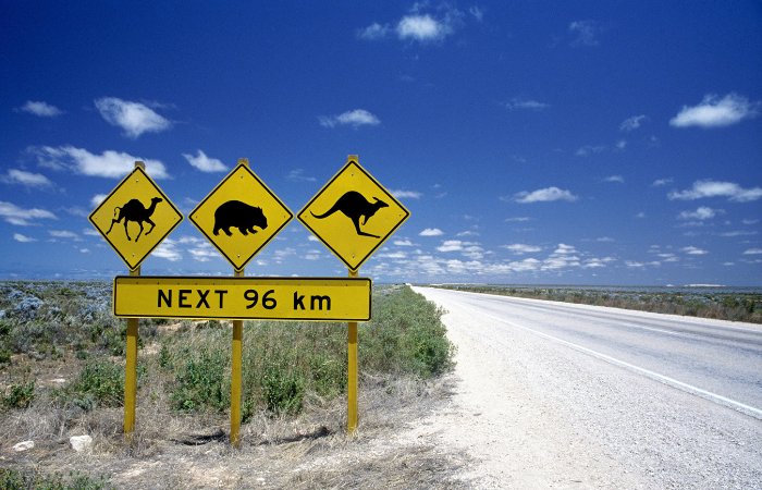 Top 19 Things Australia is Known For & Famous For | Lyfepyle