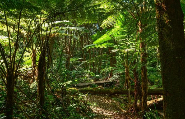 Top 19 Things Australia is Known For & Famous For | Lyfepyle