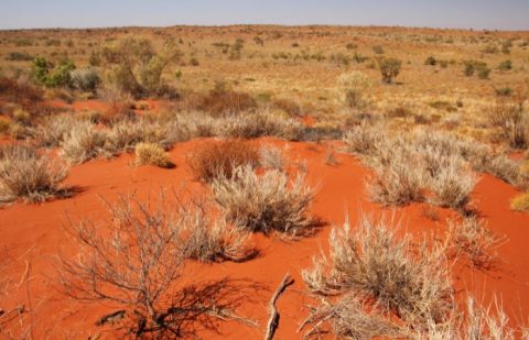 Top 19 Things Australia is Known For & Famous For | Lyfepyle