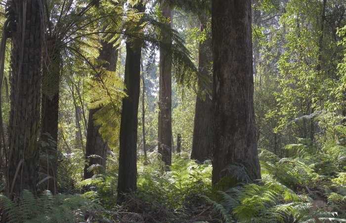 Top 19 Things Australia is Known For & Famous For | Lyfepyle