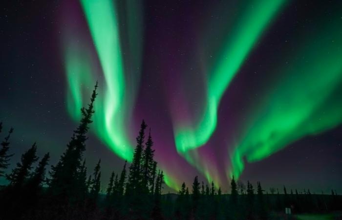 Top 20 Things Alaska is Known For & Famous For | Lyfepyle