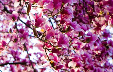 Top 35 Things Delaware is Known For & Famous For | Lyfepyle