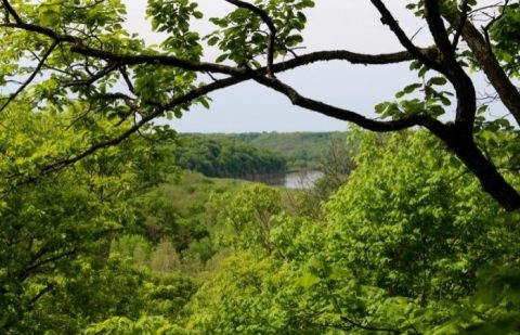 Top 23 Things Iowa is Known for & Famous For | Lyfepyle