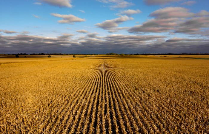 Top 28 Things Nebraska is Known For & Famous For | Lyfepyle Top 28 Things Nebraska is Known For & Famous For | Lyfepyle