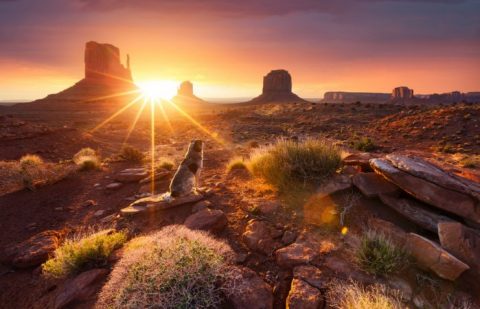 Top 18 Things Arizona is Known For & Famous For | Lyfepyle