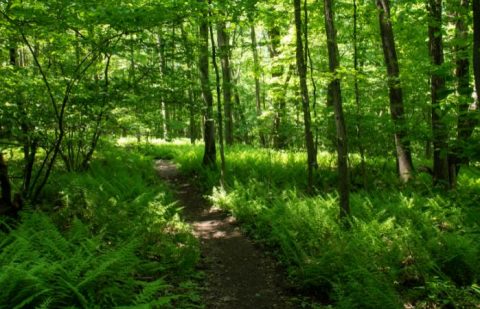 Top 27 Things Pennsylvania is Known For & Famous For | Lyfepyle