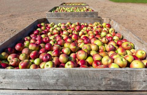 Top 28 Things Washington is Known For & Famous For | Lyfepyle