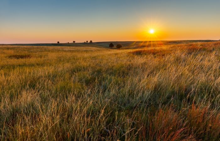 Top 24 Things Kansas is Known For & Famous For | Lyfepyle