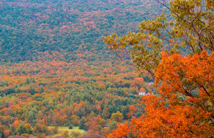 Top 22 Things Vermont is Known For & Famous For | Lyfepyle