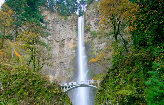 Top 21 Things Oregon is Known For & Famous For | Lyfepyle