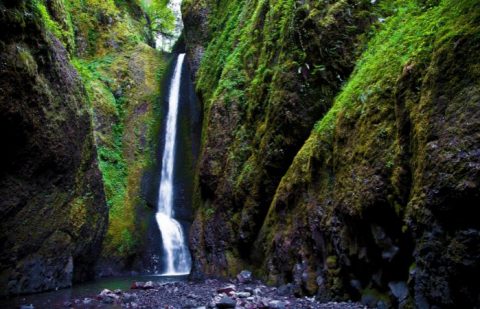 Top 21 Things Oregon is Known For & Famous For | Lyfepyle