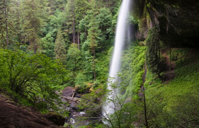 Top 21 Things Oregon is Known For & Famous For | Lyfepyle