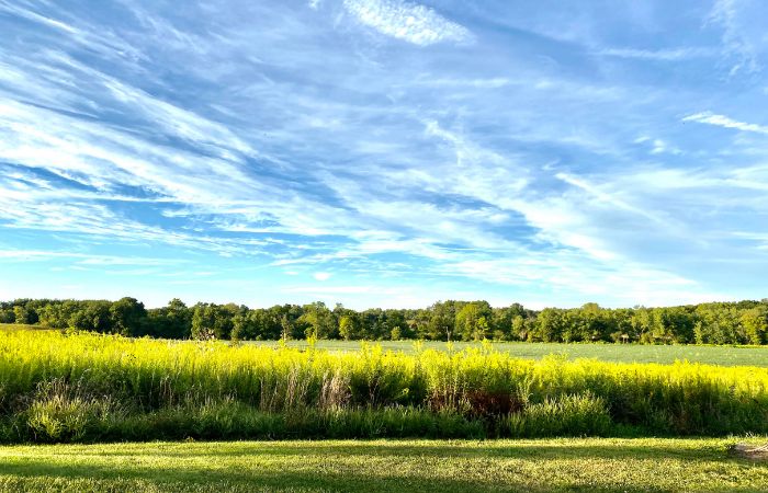 Top 24 Things Kansas is Known For & Famous For | Lyfepyle