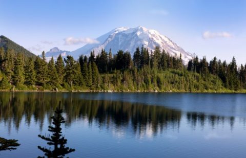 Top 28 Things Washington is Known For & Famous For | Lyfepyle