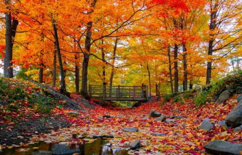 Top 22 Things Vermont is Known For & Famous For | Lyfepyle