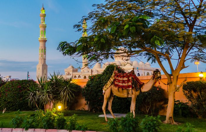 Top 42 Things Egypt is Known For & Famous For • Lyfepyle