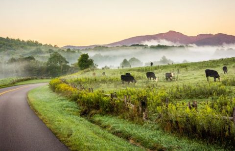 Top 35 Things Virginia is Known For & Famous For | Lyfepyle
