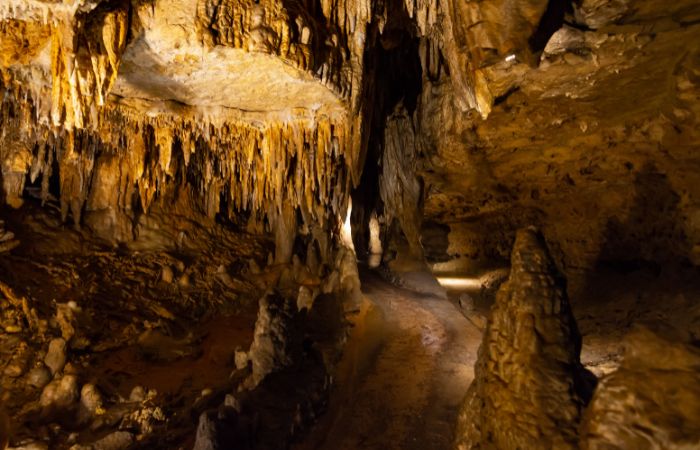 Top 22 Things Wisconsin is Known For & Famous For | Lyfepyle