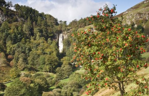 Top 36 Things Wales is Known For & Famous For | Lyfepyle