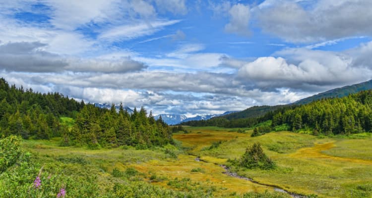 Top 32 Things Anchorage, AK is Known For & Famous For | Lyfepyle