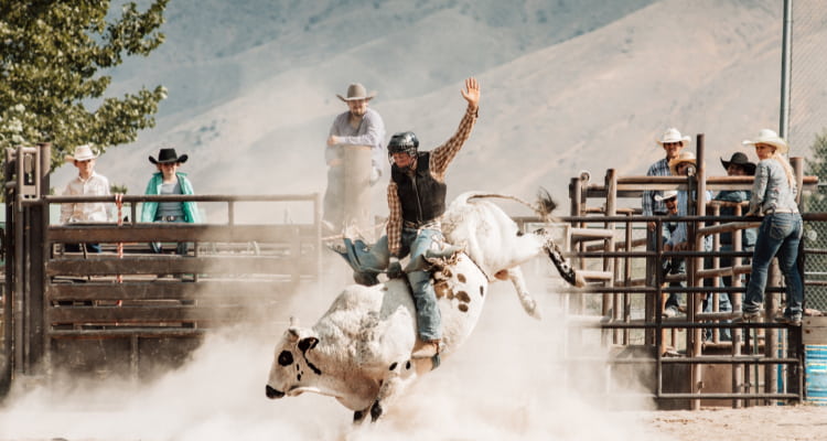 43 Amazing Things Texas is Known For | Lyfepyle