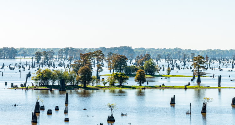 42 Incredible Things Louisiana is Known For | Lyfepyle