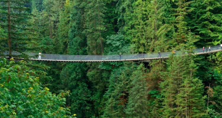 Top 30 Landmarks in British Columbia You Don't Want to Miss | Lyfepyle