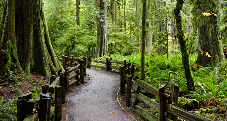 Top 30 Landmarks in British Columbia You Don't Want to Miss | Lyfepyle