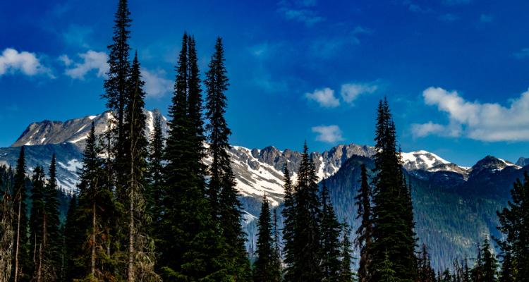 Top 30 Landmarks in British Columbia You Don't Want to Miss | Lyfepyle