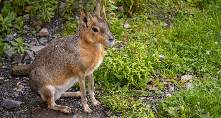 Top 30 Landmarks in Nova Scotia You Must See | Lyfepyle