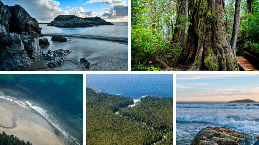 A Traveler's Guide to Pacific Rim National Park Reserve on Vancouver ...
