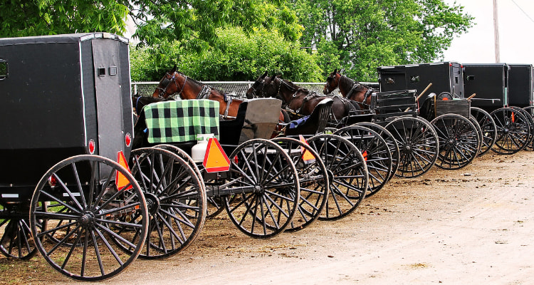 30 Must Do Activities in Ohio - 30 Things To Do While Visiting Ohio ...